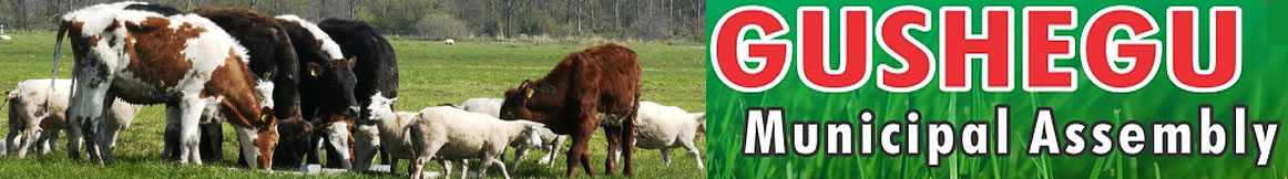 Ghana Districts: A repository of all Local Assemblies in Ghana