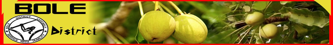 Ghana Districts: A repository of all Local Assemblies in Ghana