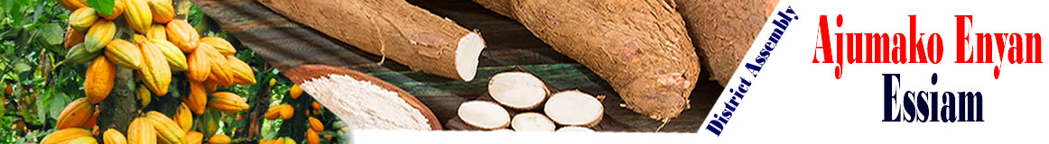 Ghana Districts: A repository of all Local Assemblies in Ghana